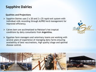 Sapphire group introductory presentation.pptx