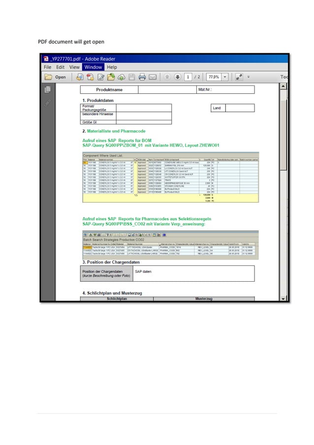 SAP PI Sheet integration with DMS(Document Management System) | PDF | Operating Systems ...