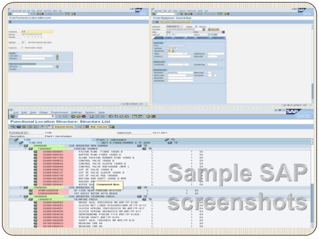 Sap plant maintenance