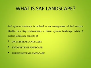 Sap overview | PPTX