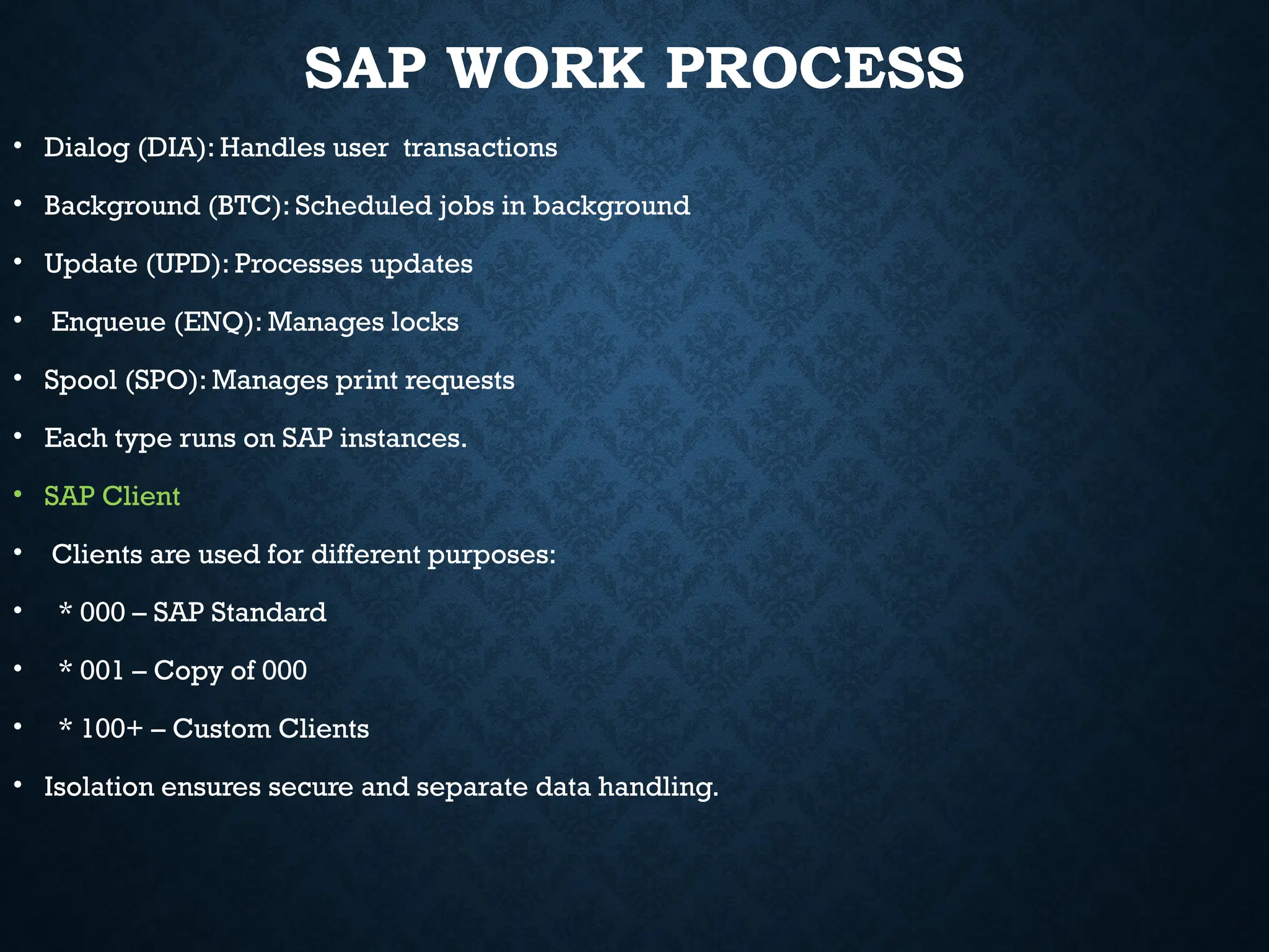 SAP Presentation and sap introduction for sap basis | PPTX