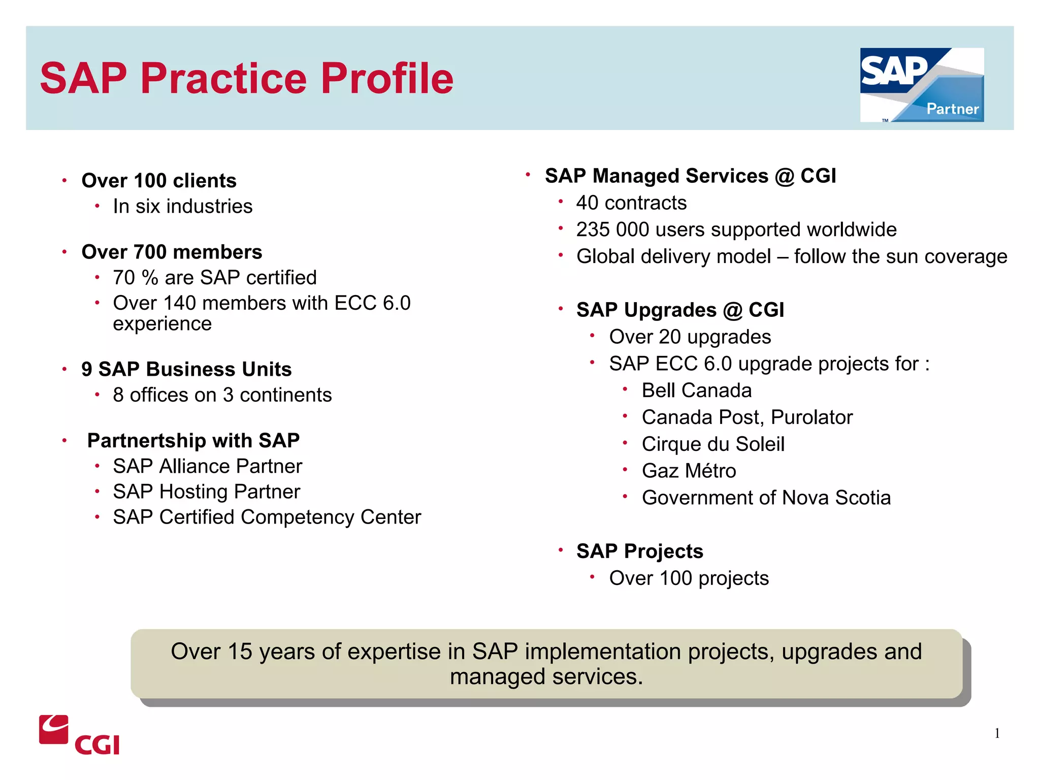 Sap Practice Profile 2010.Ppt V2 | PPT