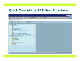 Sap Presentation | PDF