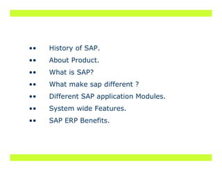 Sap Presentation | PDF