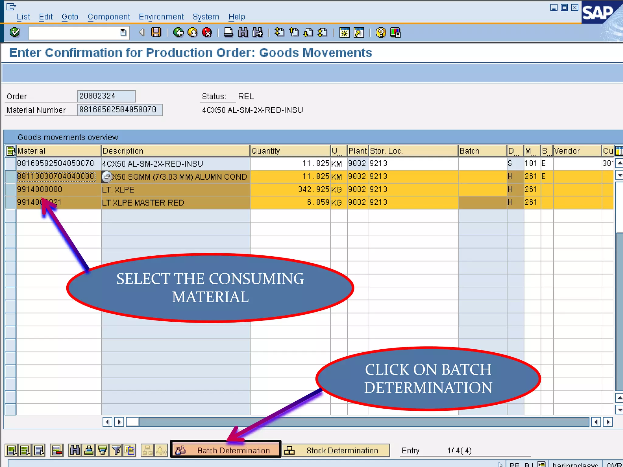 Sap presentation | PPSX