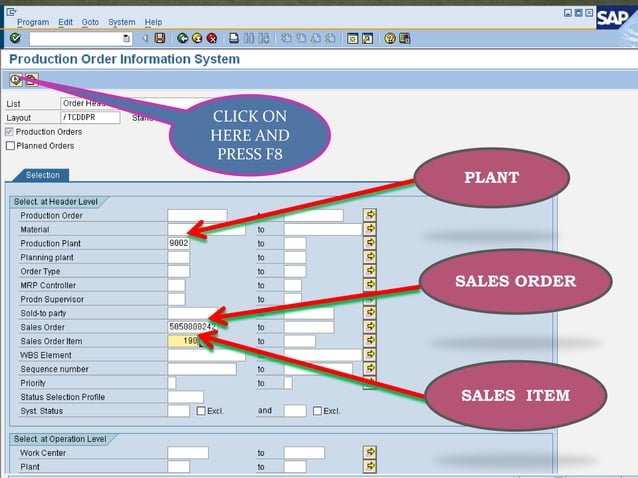 Sap presentation | PPSX | Technology & Computing