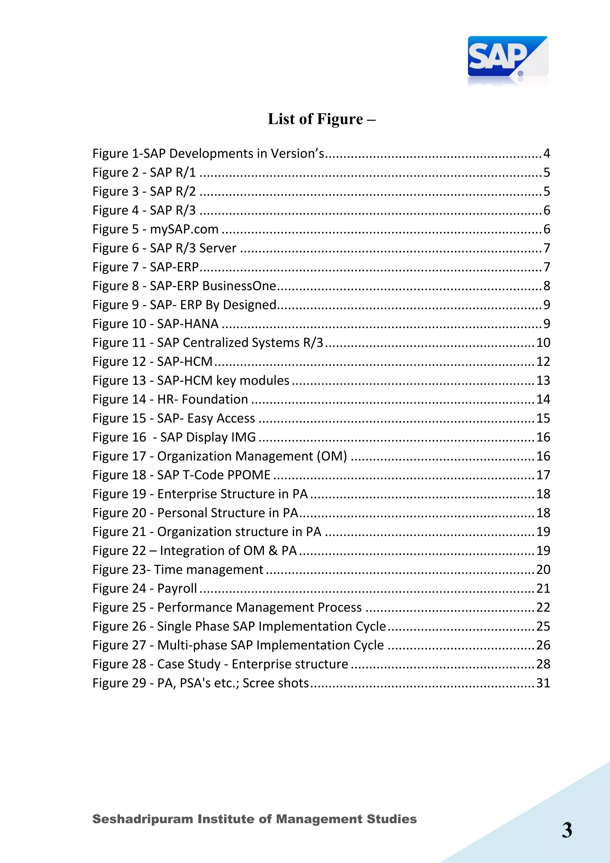 SAP- HCM mini project report on - Design Enterprise Structure in ...