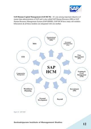 SAP- HCM mini project report on - Design Enterprise Structure in ...