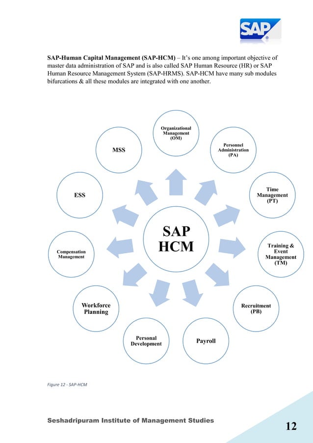 SAP- HCM mini project report on - Design Enterprise Structure in ...