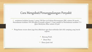 Saprolegniasis-M.zidni ilma-x apat 1-25.pptx