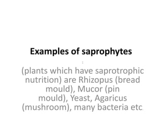Saprophytic and parasitic modes of life | PPTX