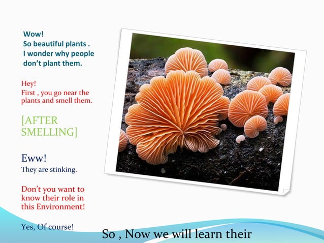 SAPROPHYTIC MODE OF NUTRITION IN PLANTS | PPTX | Nutrition | Healthy Living