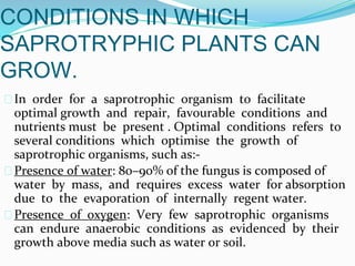 SAPROPHYTIC MODE OF NUTRITION IN PLANTS | PPTX