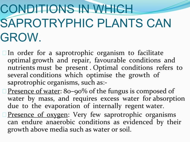 SAPROPHYTIC MODE OF NUTRITION IN PLANTS | PPTX | Nutrition | Healthy Living