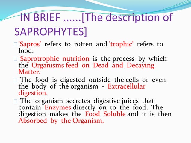 SAPROPHYTIC MODE OF NUTRITION IN PLANTS | PPT