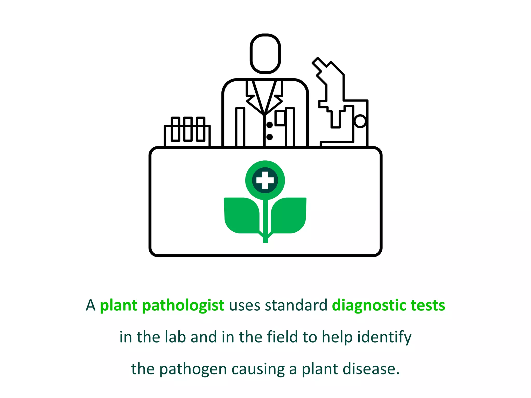 SAPS - Plant pathogens - Identification - presentation (1).pptx