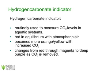 SAPS - Photosynthesis with Algal Balls | PPT
