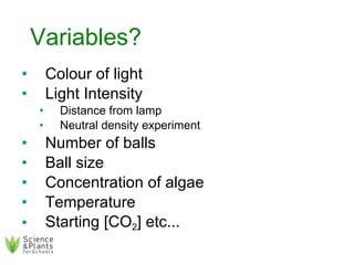 SAPS - Photosynthesis with Algal Balls | PPT