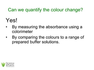SAPS - Photosynthesis with Algal Balls | PPT