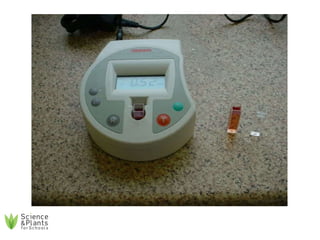 SAPS - Photosynthesis with Algal Balls | PPT