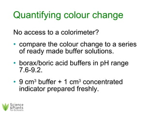 SAPS - Photosynthesis with Algal Balls | PPT