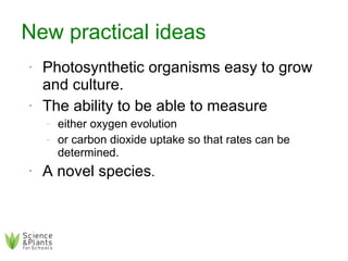 SAPS - Photosynthesis with Algal Balls | PPT