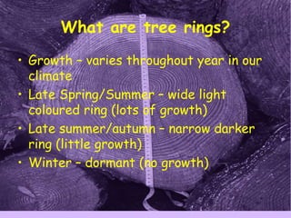 SAPS-Tree-Rings-The-Science-of-Dendrochronology.ppt