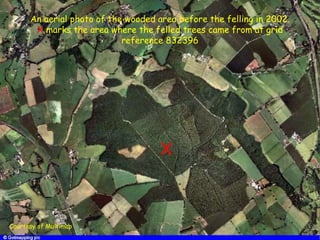 SAPS-Tree-Rings-The-Science-of-Dendrochronology.ppt