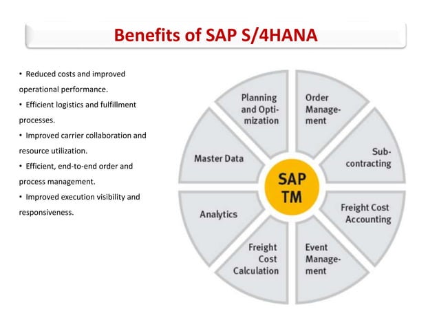 Sap s4 hana tm | PPTX