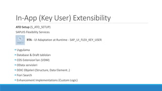 SITIST 2018 Part 2 - SAP S/4HANA Extensibility - Custom Fields and Logic Demo | PPT