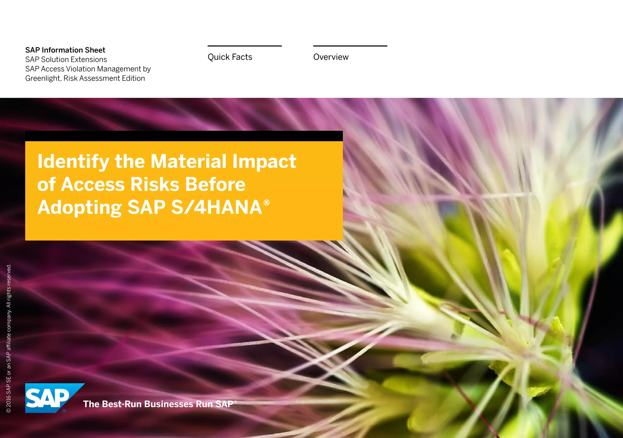 SAP S/4 HANA Information Sheet | PDF