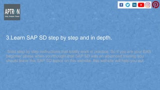 SAP SD Certification Course in Noida.pdf