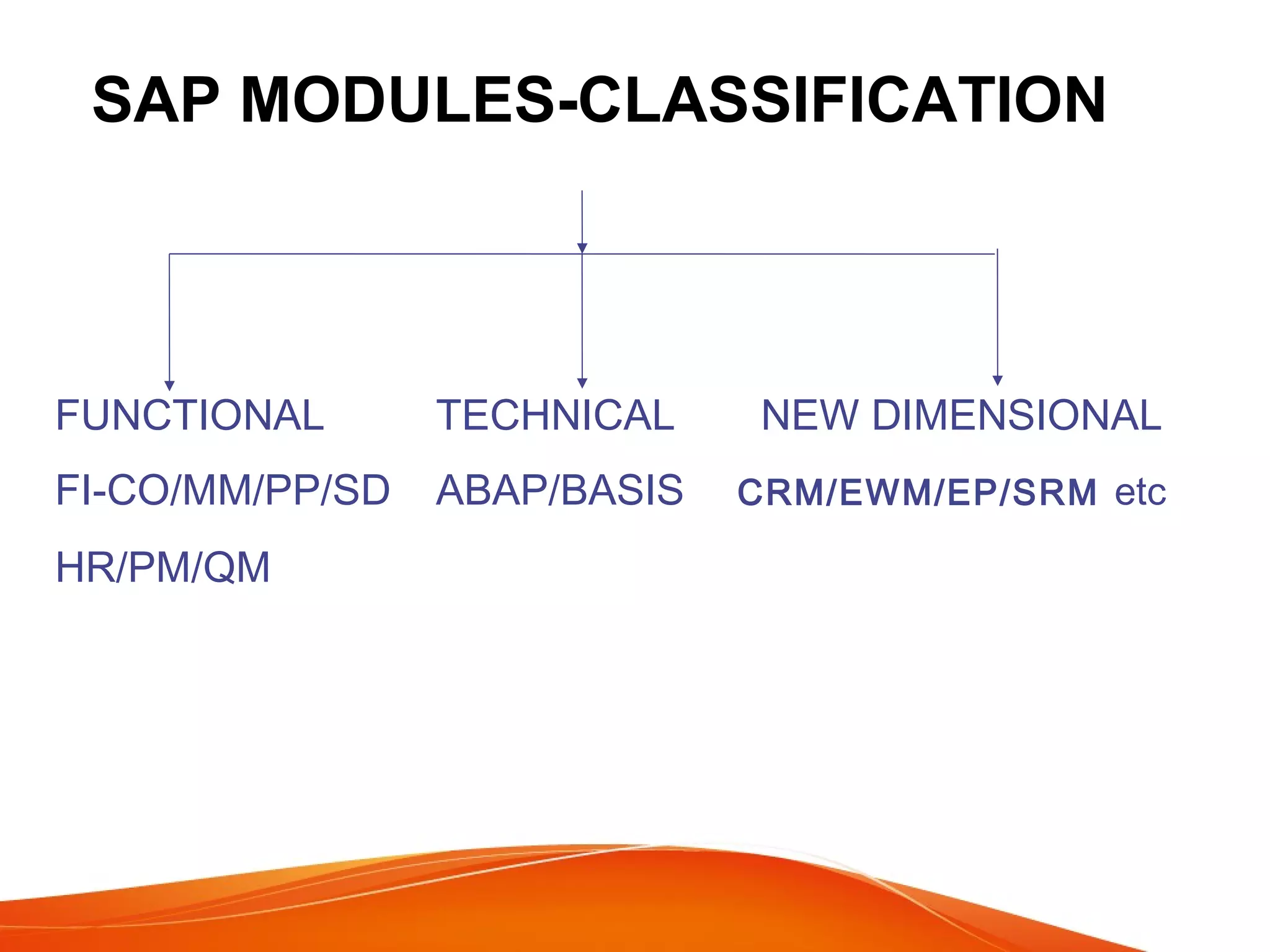 SAP SD Introduction.pdf