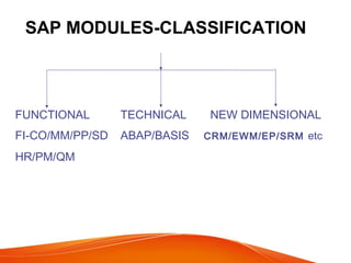SAP SD Introduction.pdf
