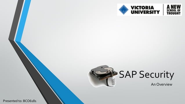 Introduction to SAP Security | PDF | Operating Systems | Computer Software and Applications