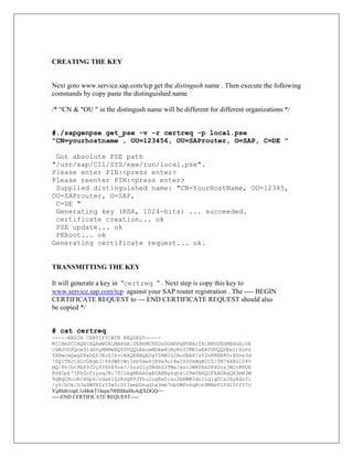 Sap snc configuration | PDF