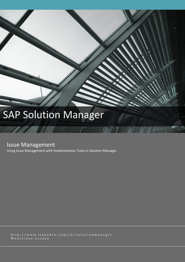 Sap Solman Charm Issue Management | PDF