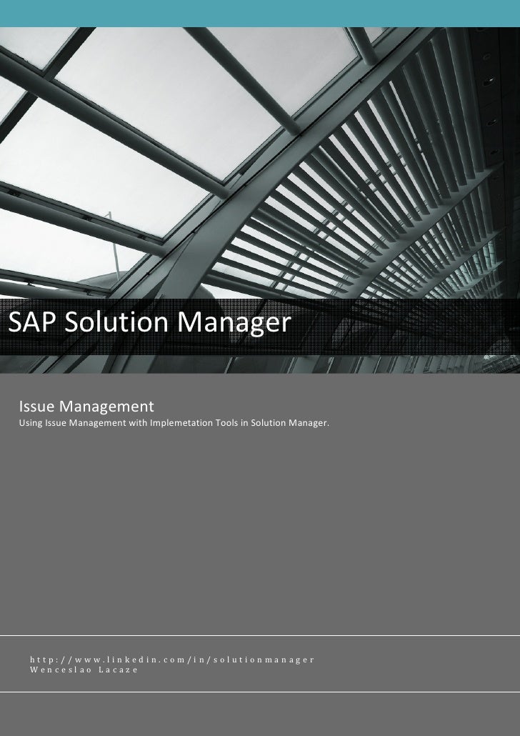 Sap Solman Charm Issue Management