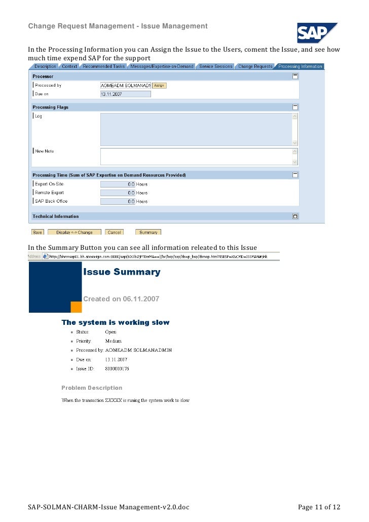 Sap Solman Charm Issue Management