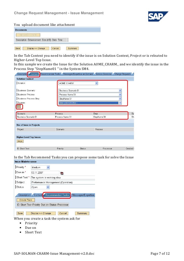 Sap Solman Charm Issue Management