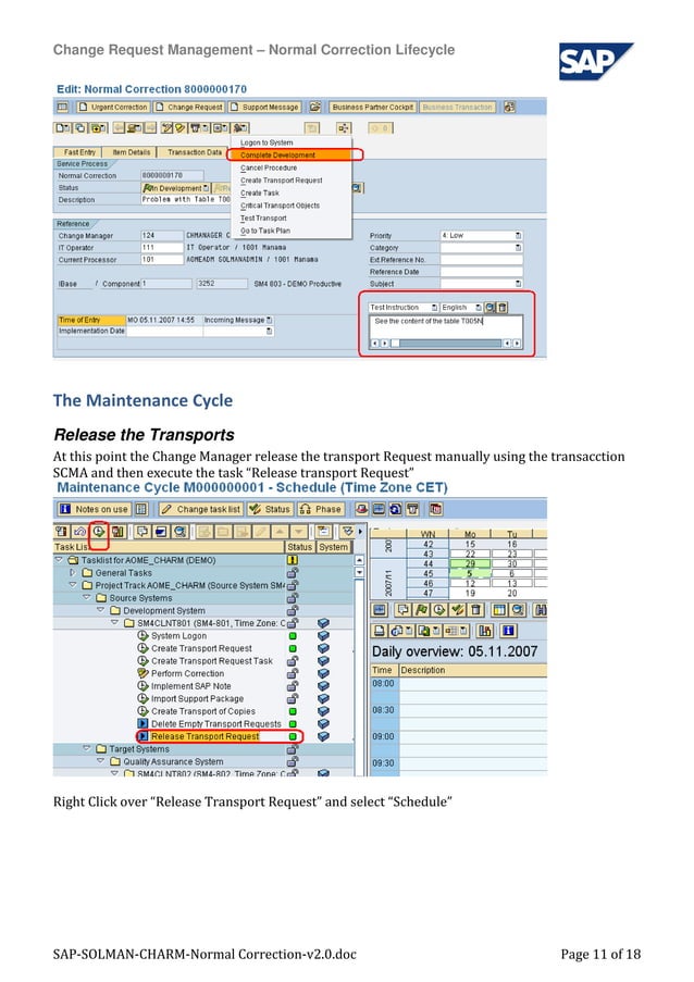 Sap Solman Charm Normal Correction | PDF