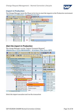 Sap Solman Charm Normal Correction | PDF