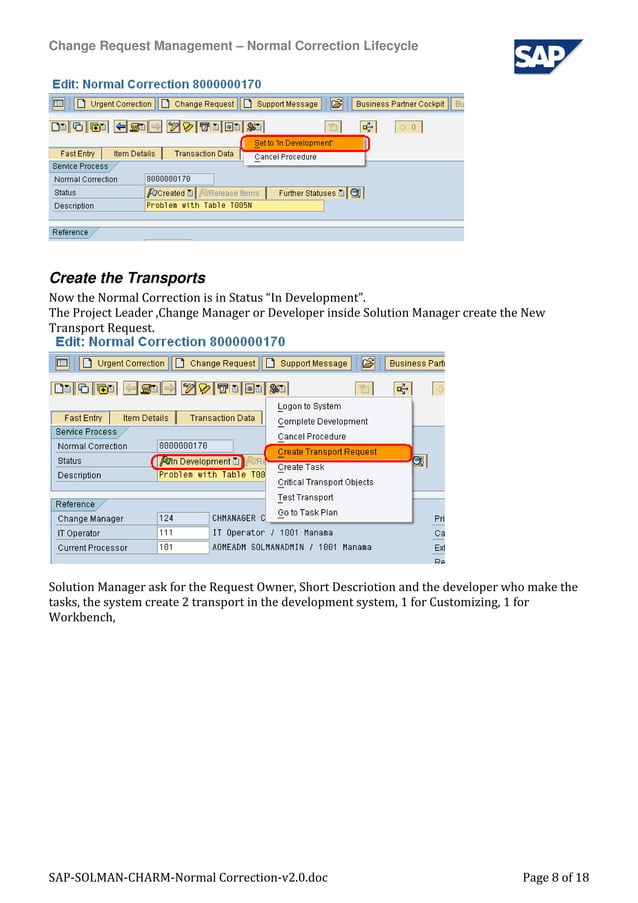 Sap Solman Charm Normal Correction | PDF