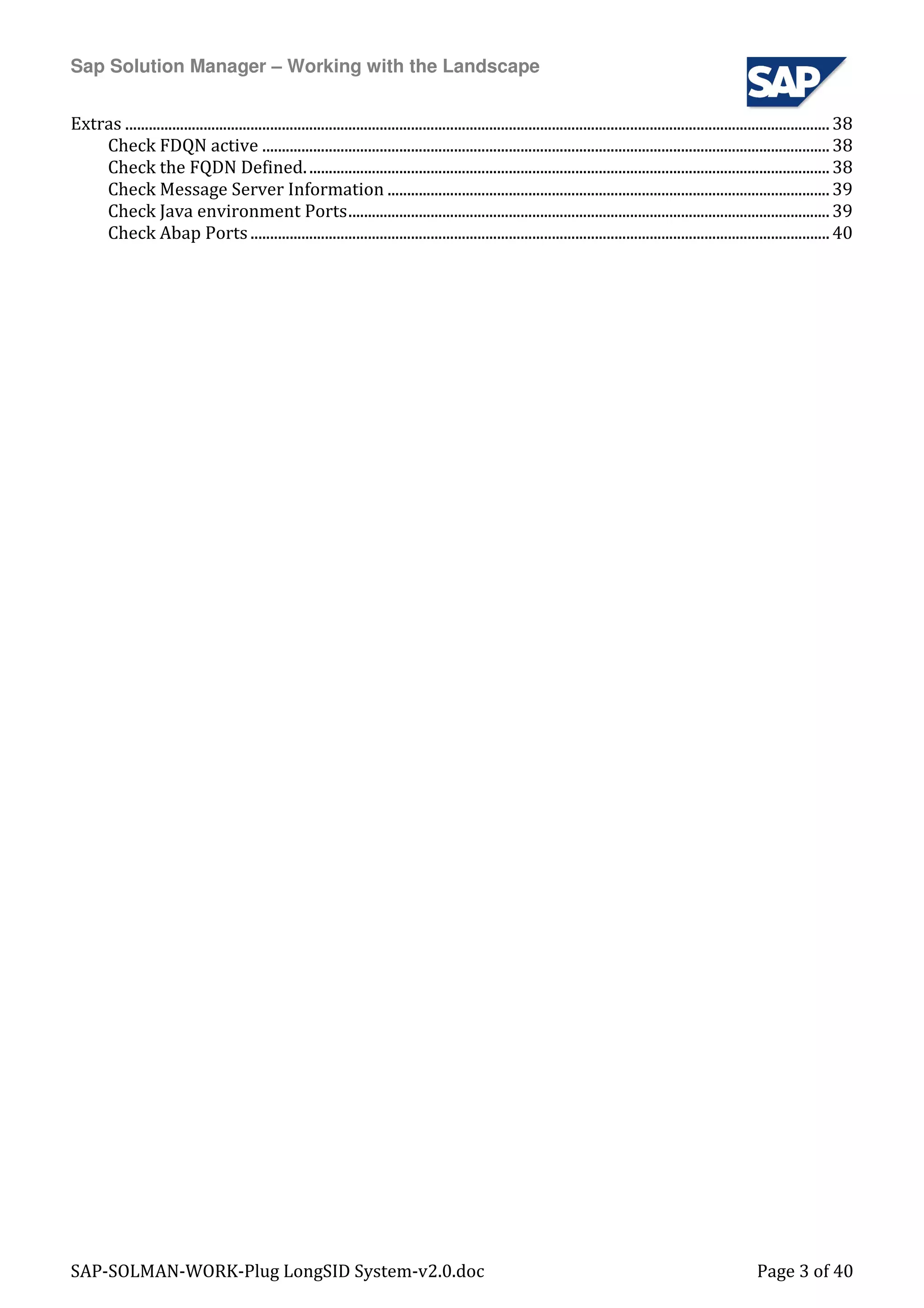 Sap Solman Work Plug Long Sid System V2 | PDF