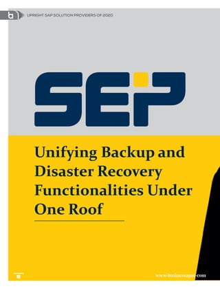 Sap solution provider | PDF