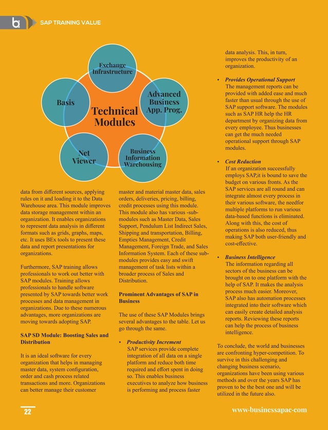 Sap solution provider | PDF