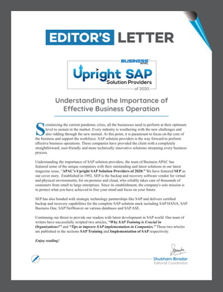 Sap solution provider | PDF