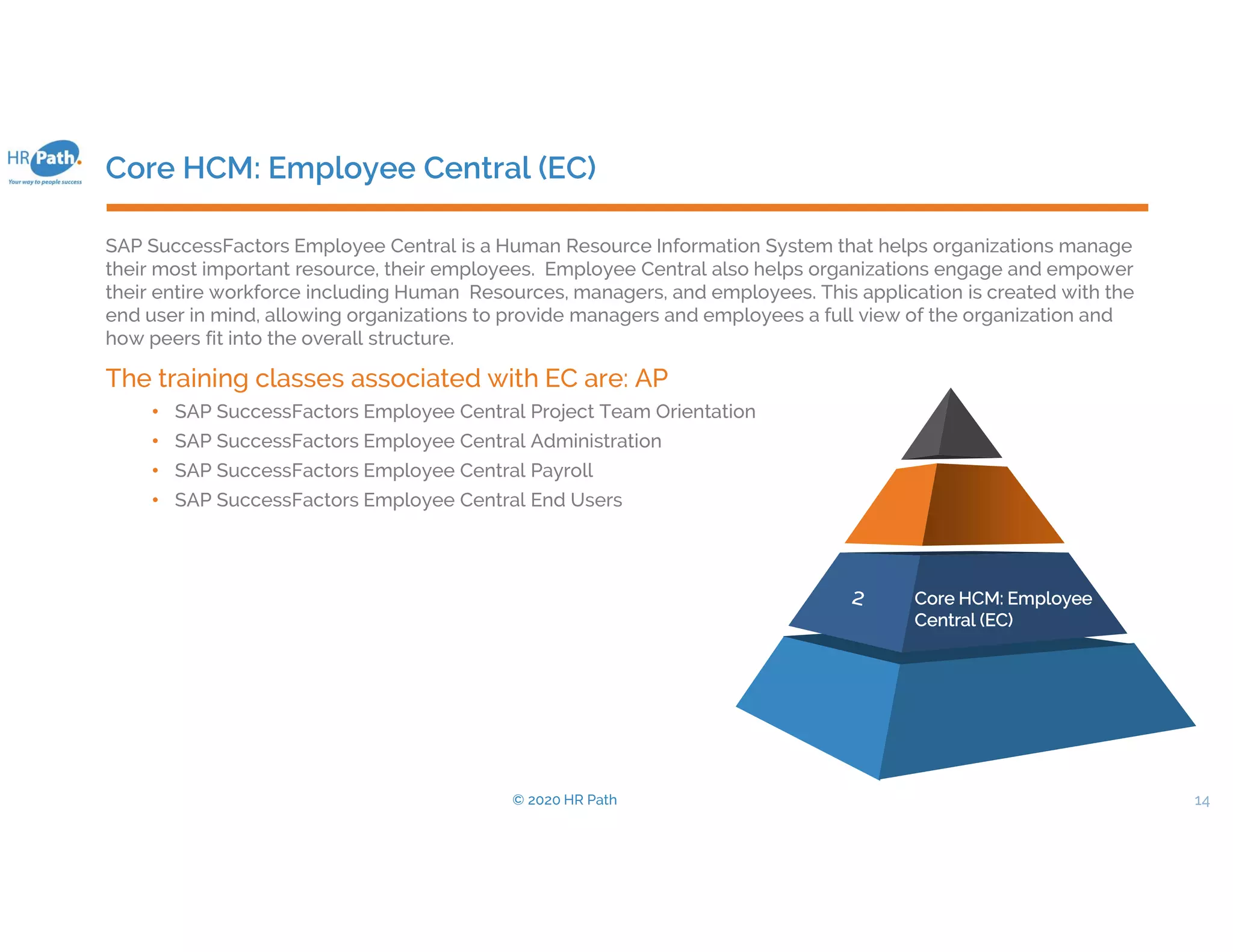 SAP SuccessFactors Education and Training Materials | PDF