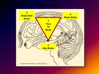 Sapta Bindus of the Gitananda (Rishiculture Ashtanga) Yoga Tradition ...
