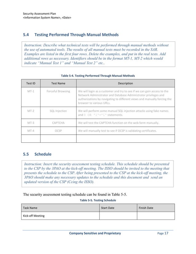 Security Assessment Plan (Template) | DOCX